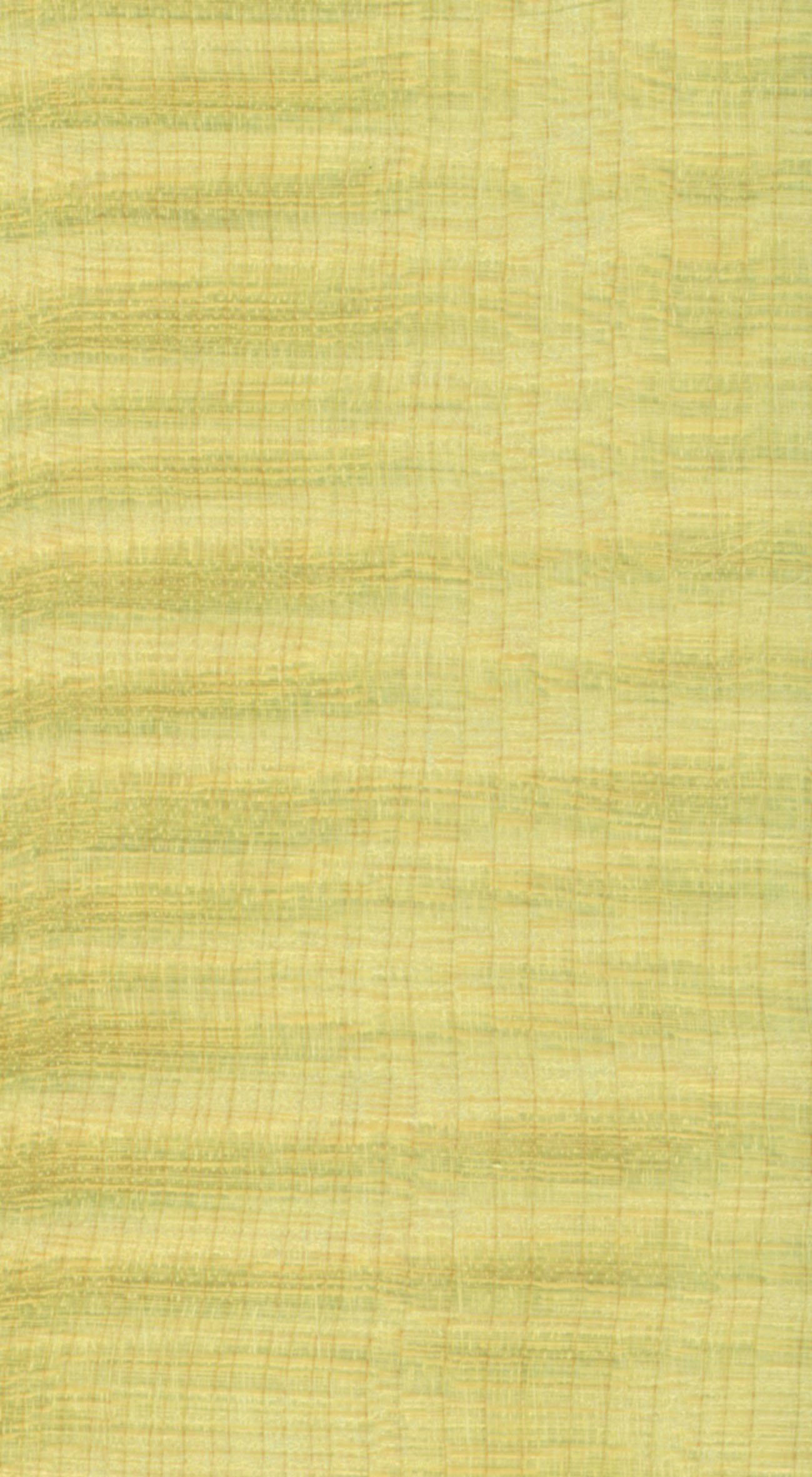 ÉRABLE SYCOMORE | Le Commerce du Bois