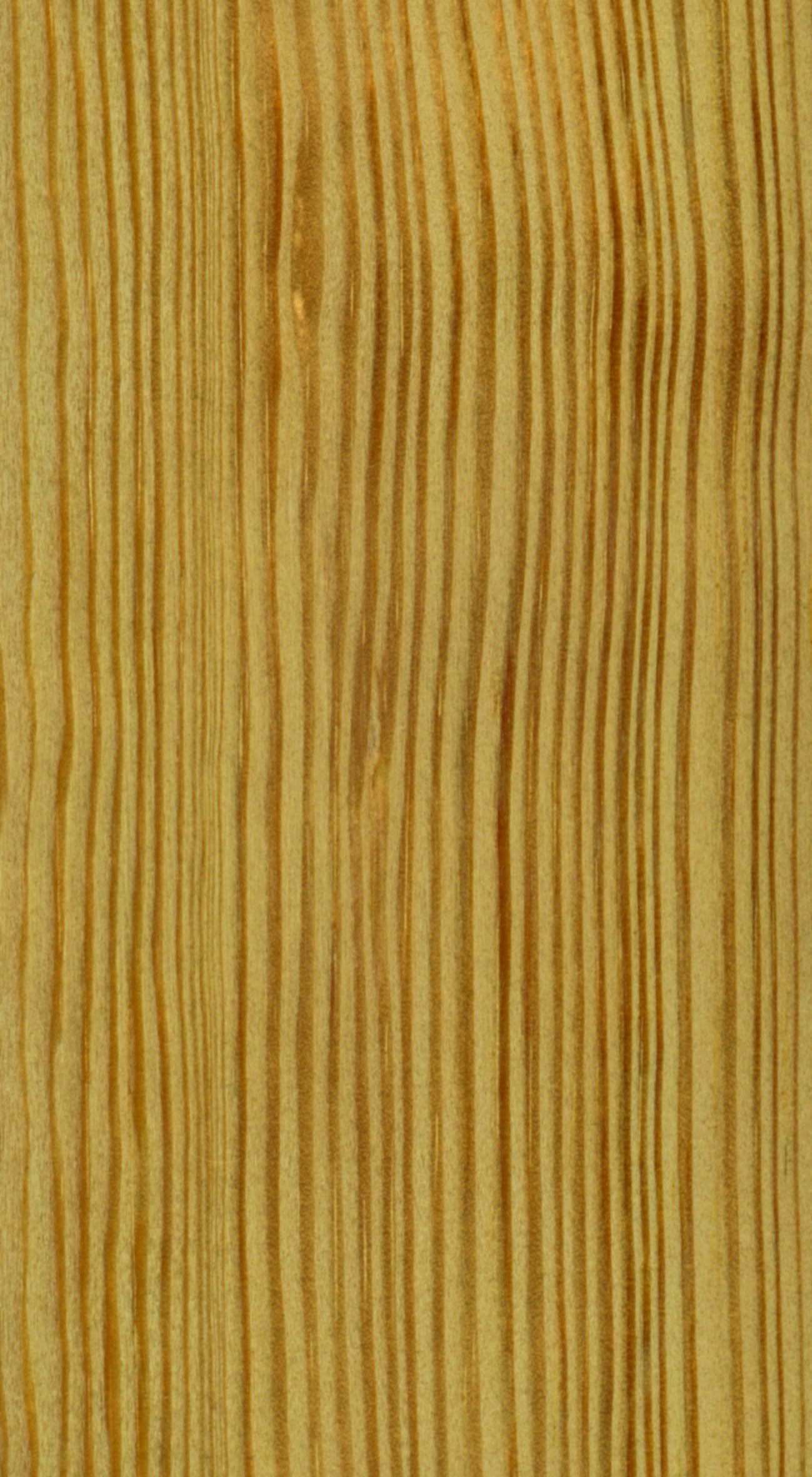 PIN SYLVESTRE | Le Commerce du Bois